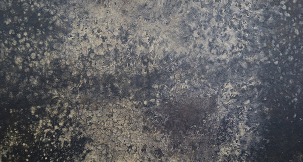 Mycelium Art